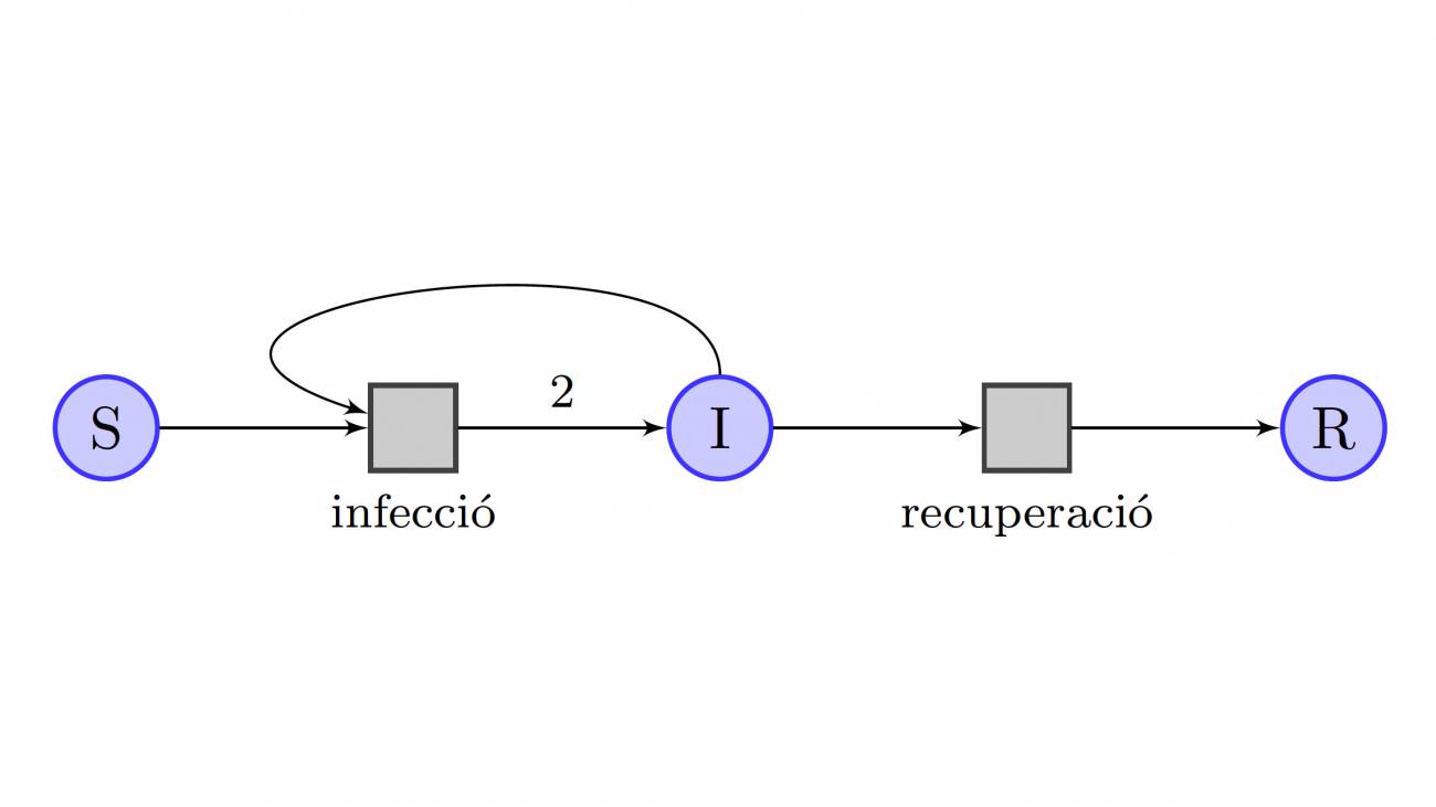 Por experimentar con modelos epidemiológicos del covid logran resolver ...